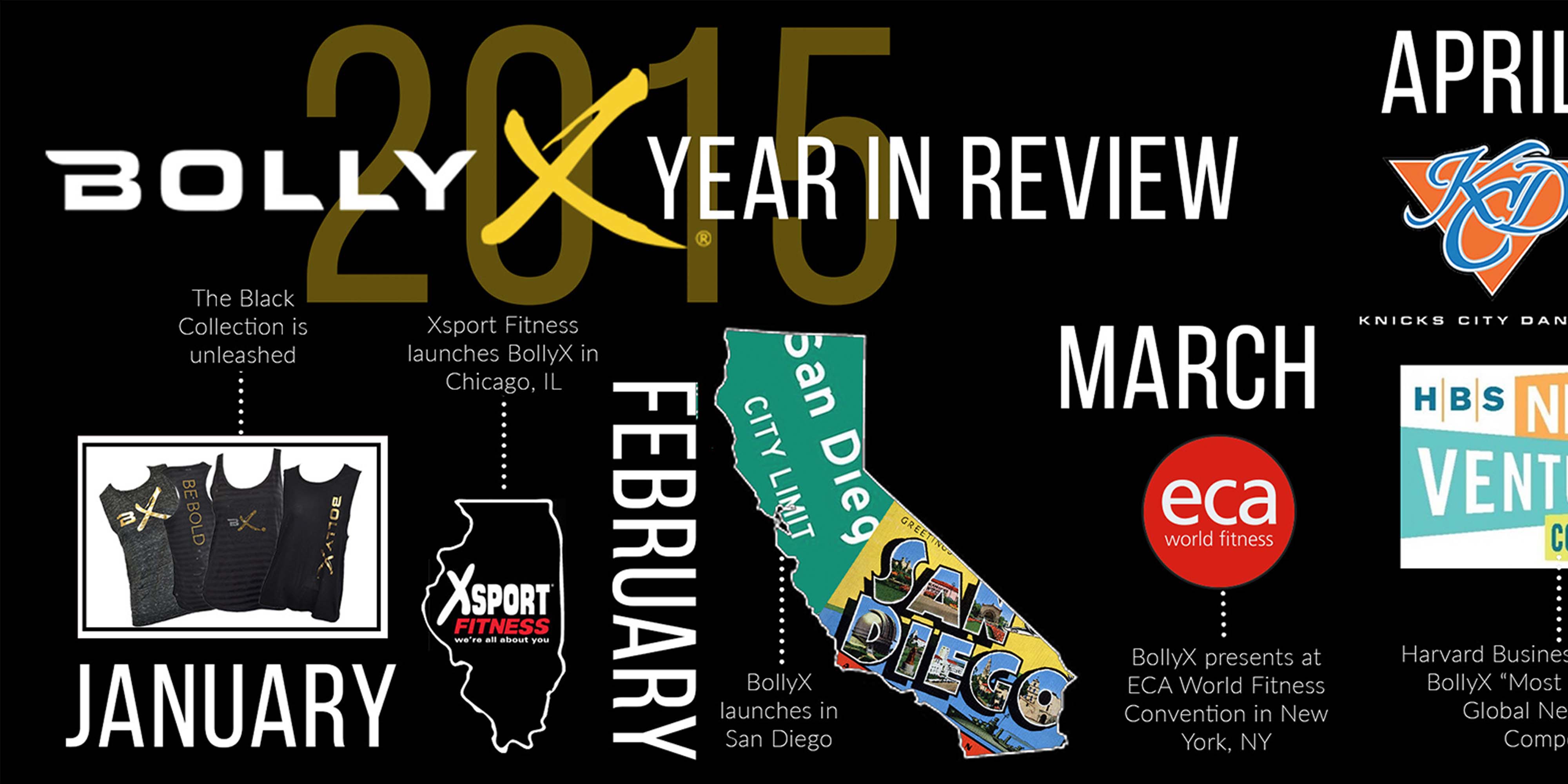 BollyX 2015 Year in Review - BollyX Life
